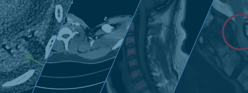 RAIQC: Packages: Package Emergency Radiology